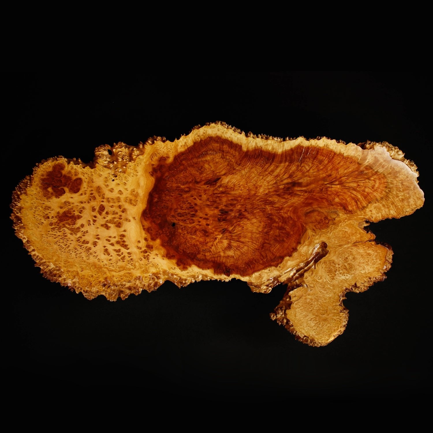 Bonsai Display Stands - Jitas – Bonsai-En