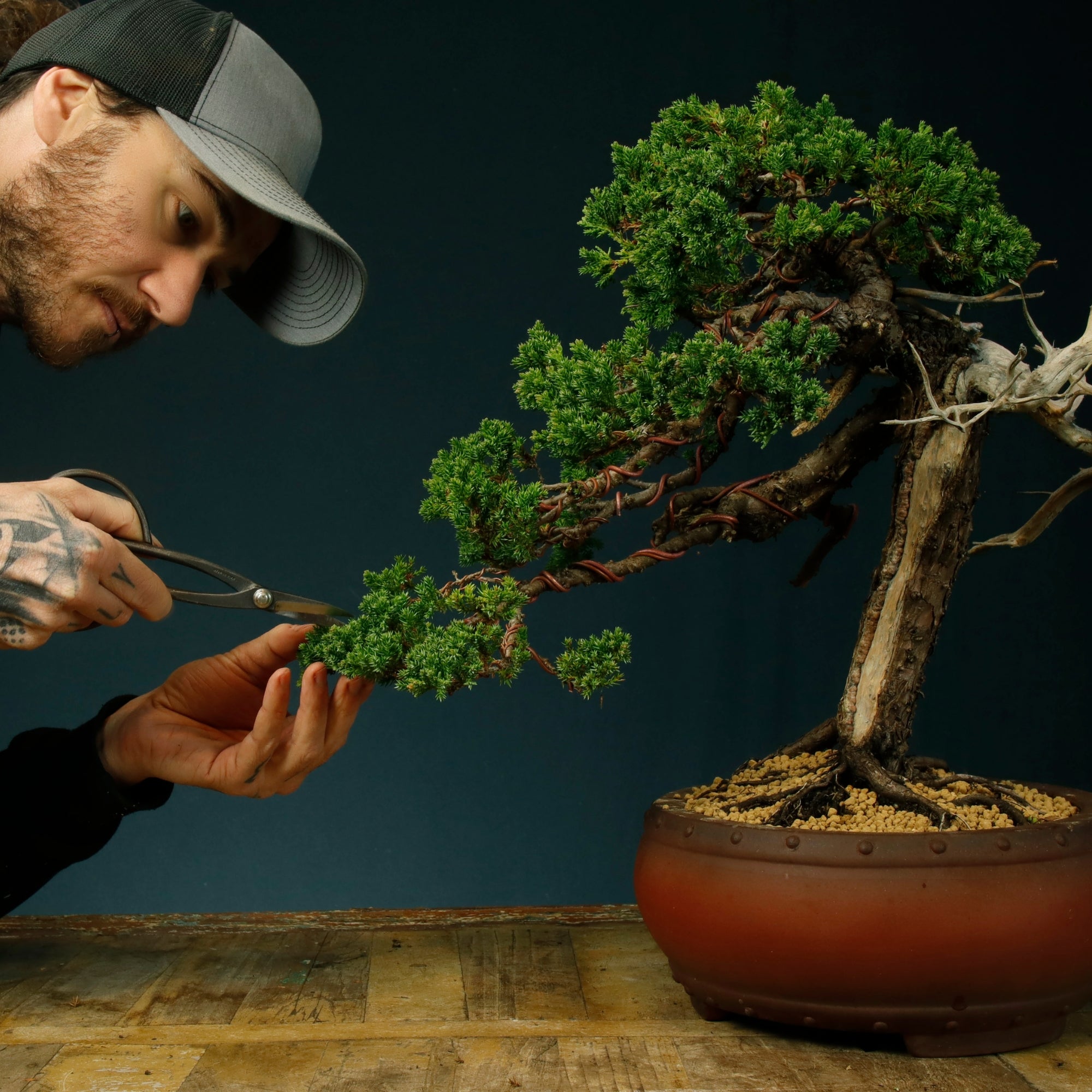 Private 1 on 1 Sessions ( In Person ) – Bonsai-En
