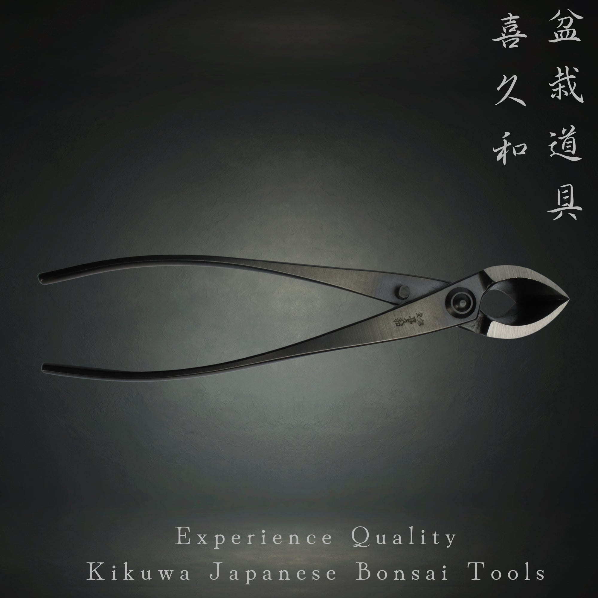 Bonsai Branch Cutters - Japanese Made | Bonsai-En