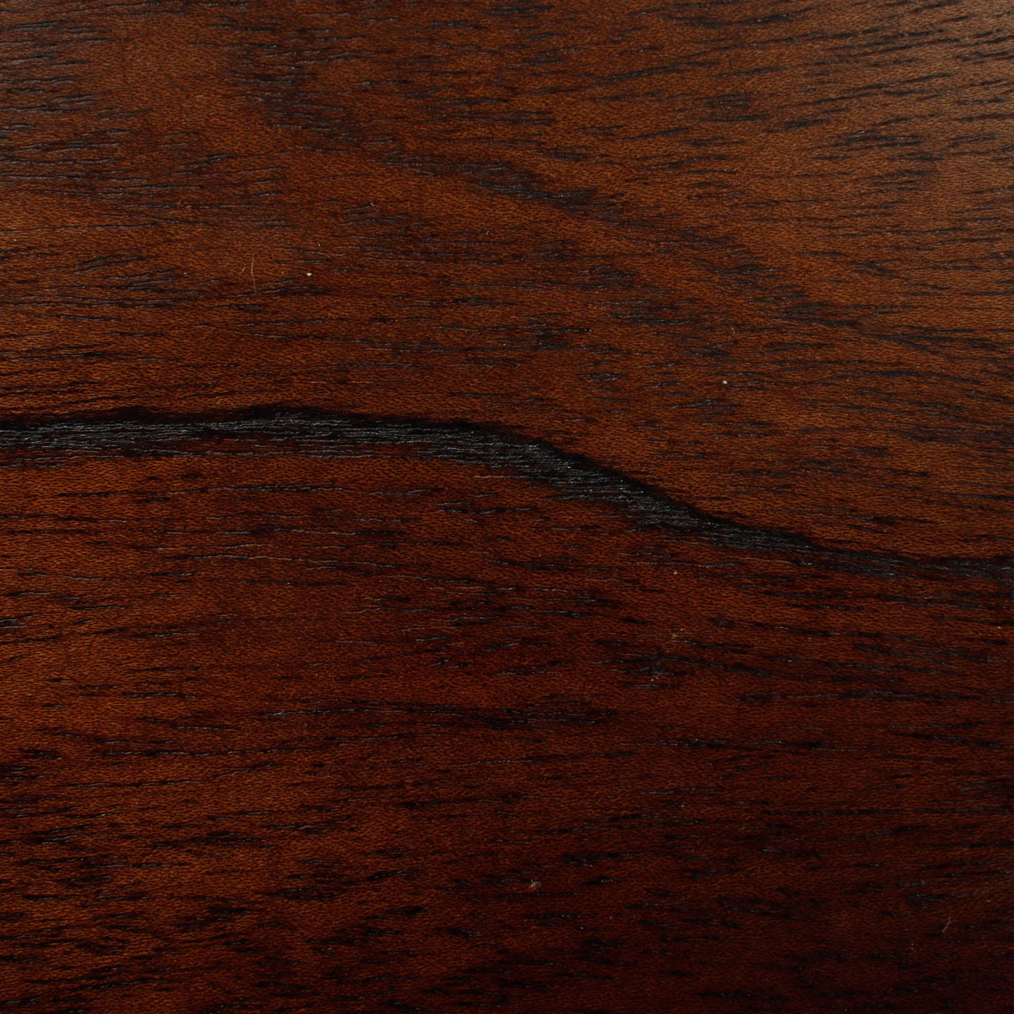 Bonsai Display Jita - Round Dark Natural Edge #3 | Bonsai-En