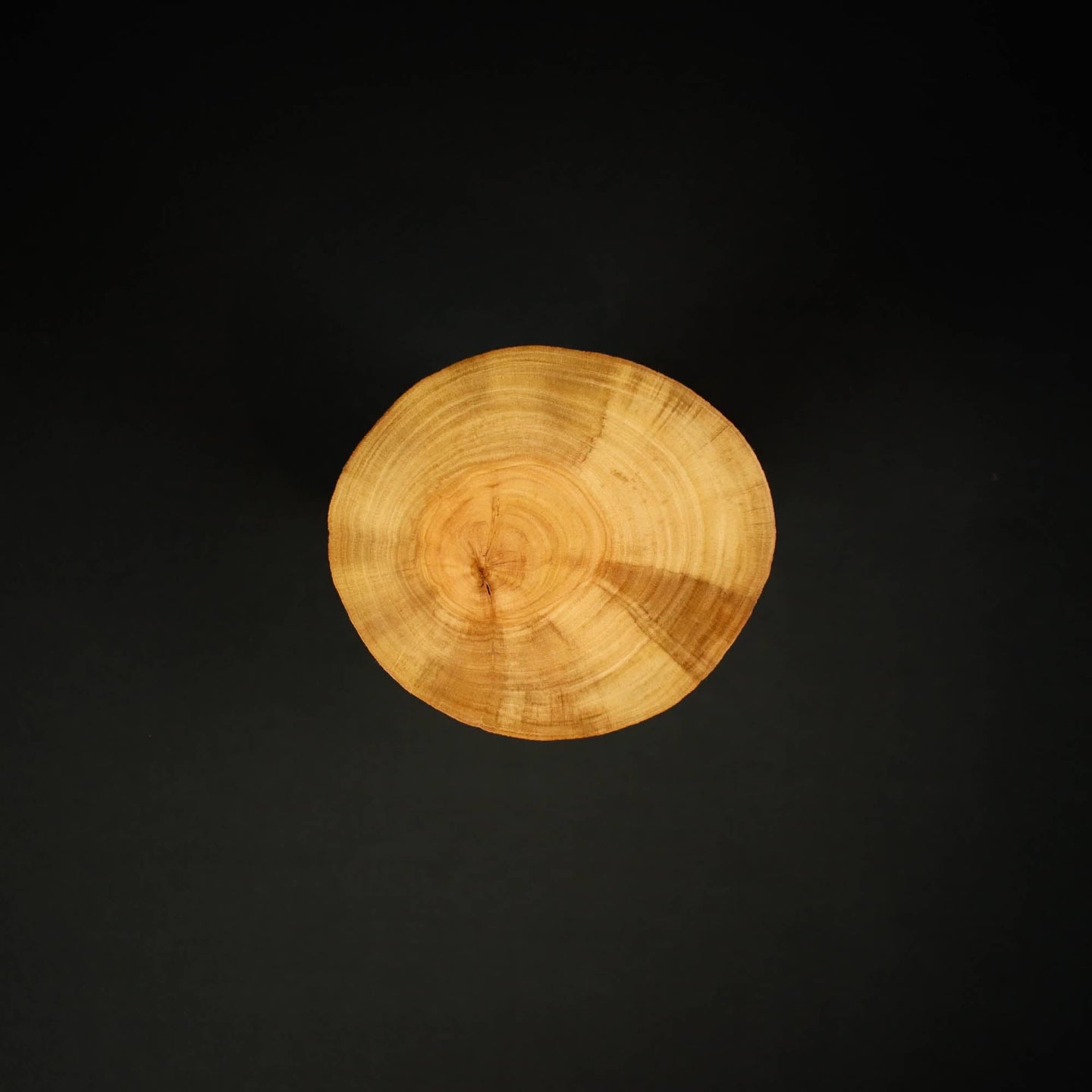 Bonsai Display Stands - Jitas – Bonsai-En