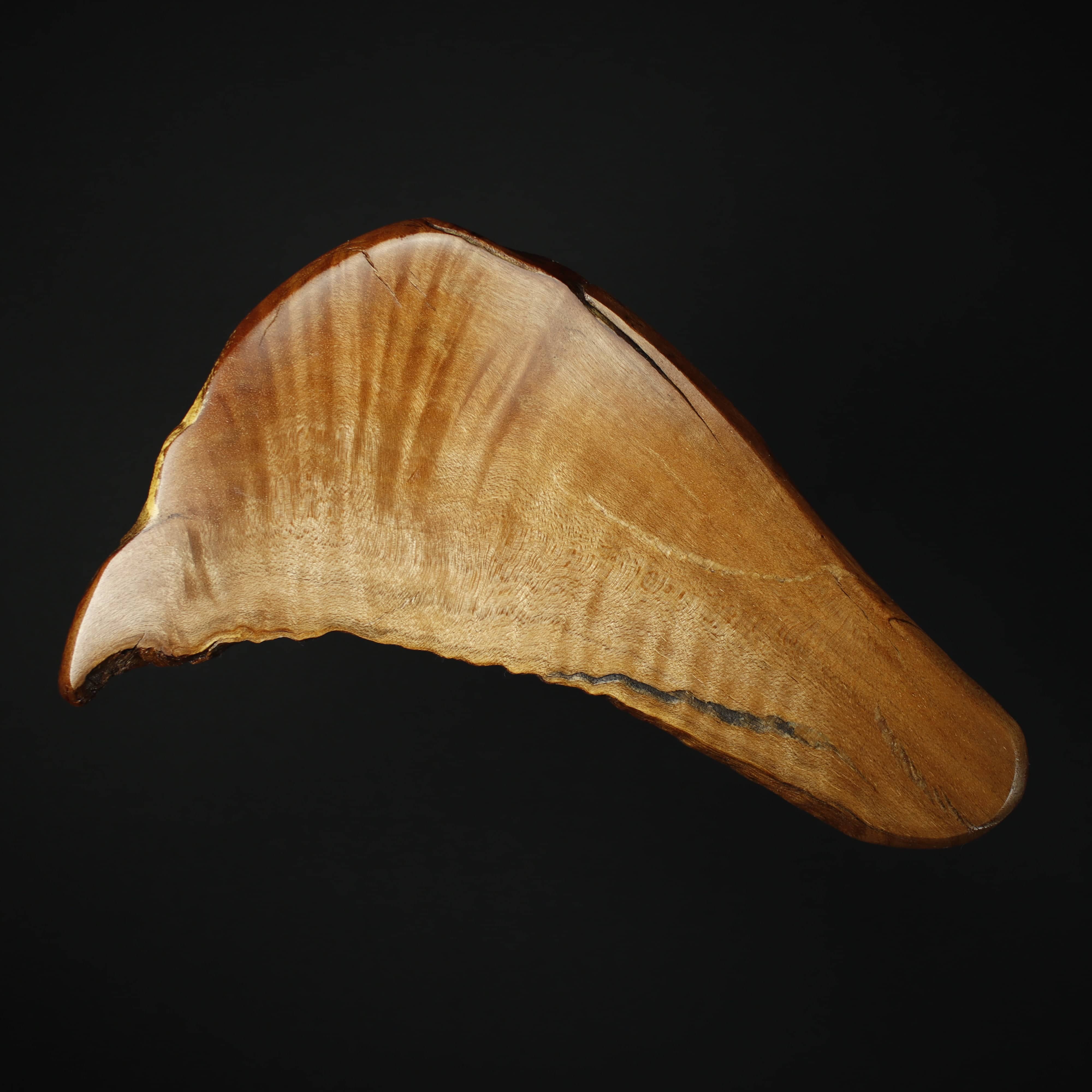 Bonsai Display Jita - Freeform With 3D Wave Grain #5 – Bonsai-En