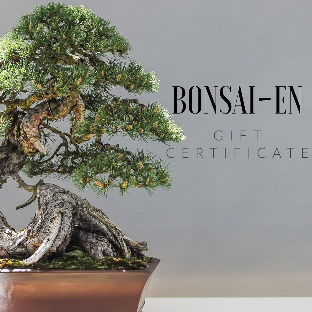Buy Bonsai Tools & Accessories Online | Bonsai-En
